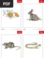 Free Word Wall Spinners for Literacy | PDF | Home & Garden | Self ...