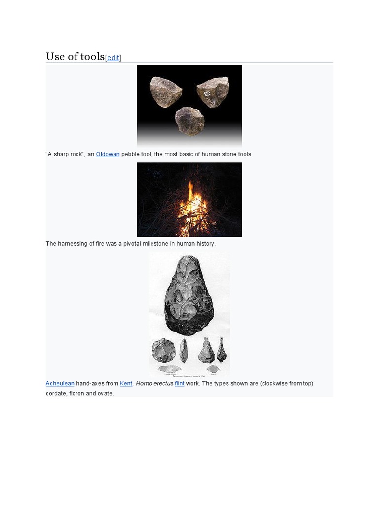Use of Tools: "A Sharp Rock", An Pebble Tool, The Most Basic of Human ...