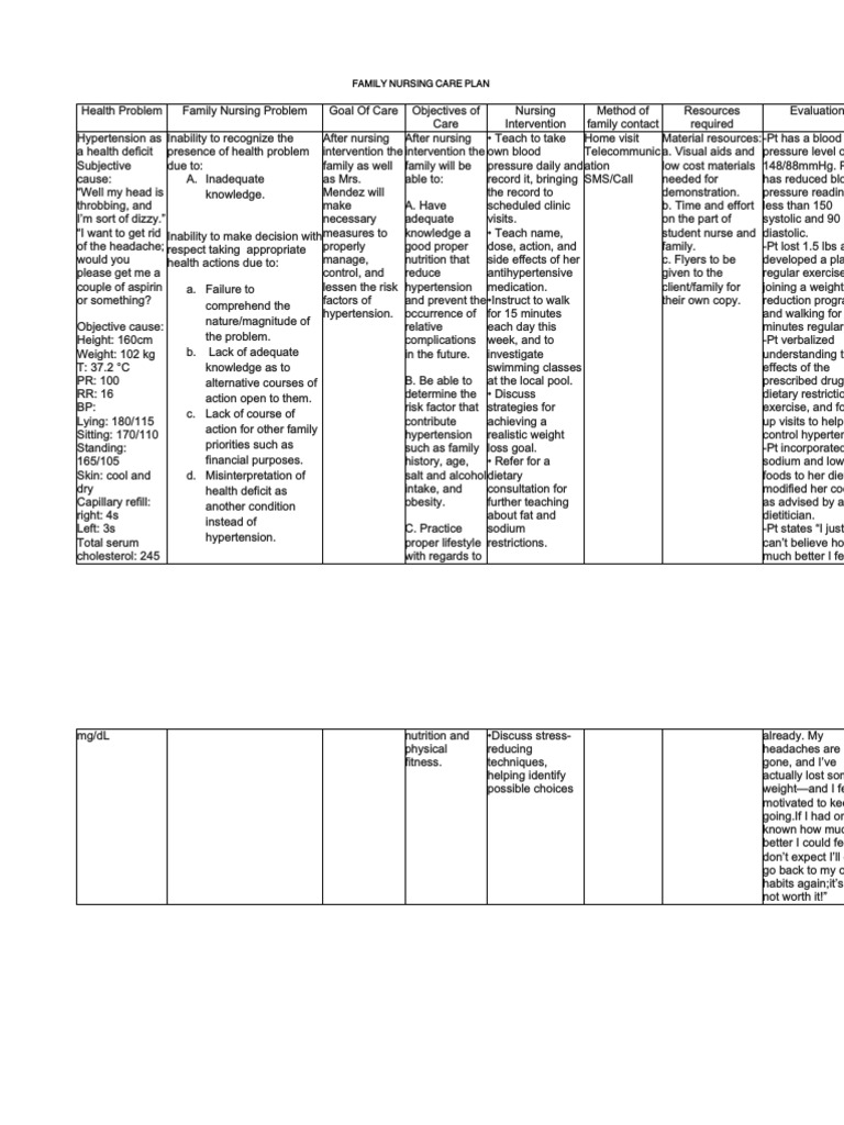 Chn-Family Nursing Care Plan | PDF