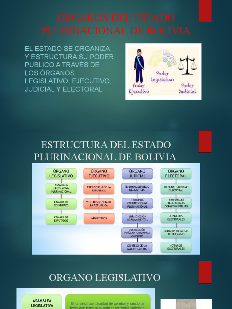 Estructura de los Órganos del Estado Boliviano | PDF
