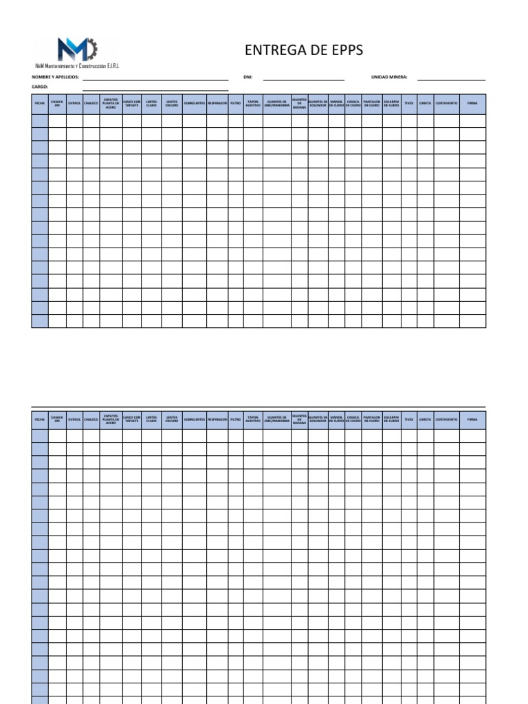 Formato de Entrega de Epps | PDF