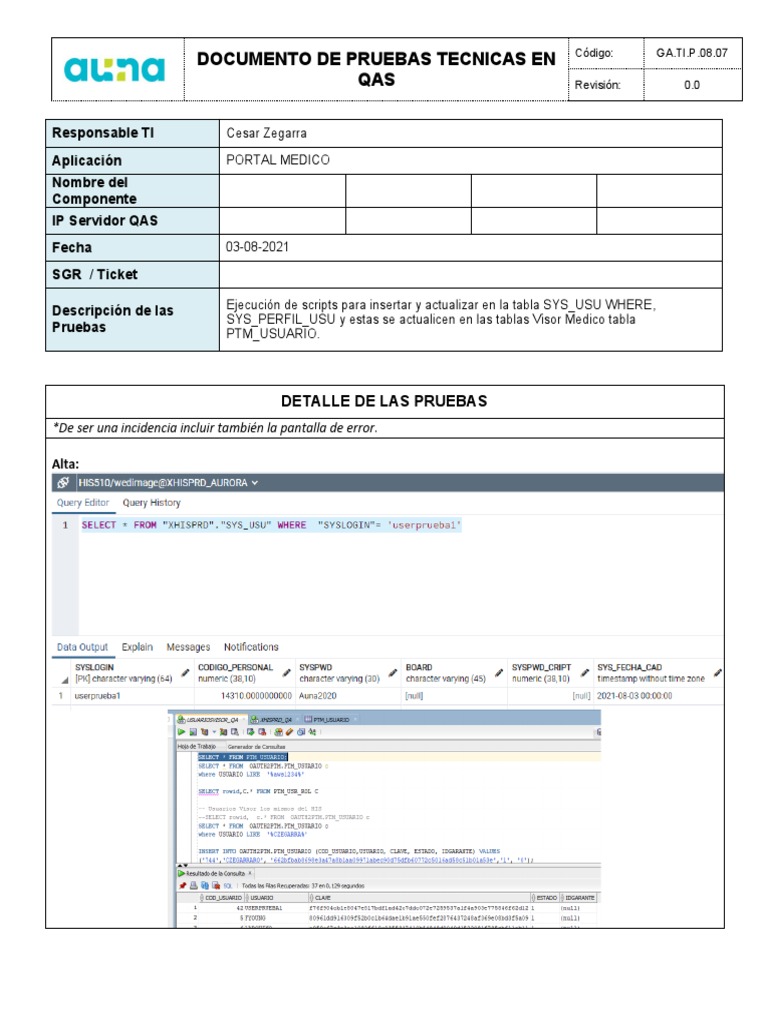 GA - Ti.p.08.07 Documento de Pruebas Tecnicas en QAS | PDF | Informática | Redes de computadoras