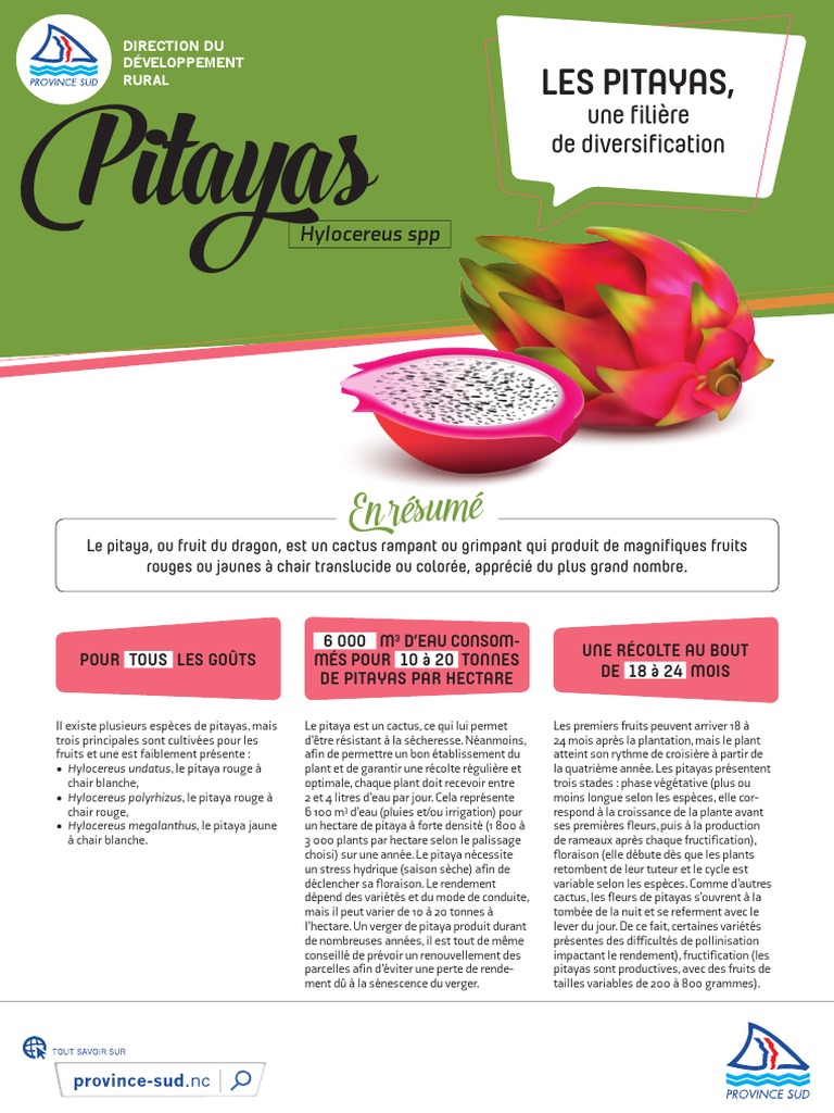 Pitaya | PDF | Maïs | Botanique