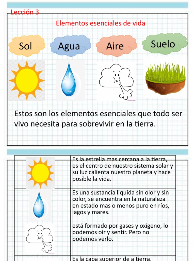 3 Elementos Esenciales de Vida | PDF