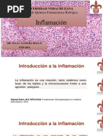 Etapas de La Inflamacion PDF | PDF | Inflamación | Inmunología
