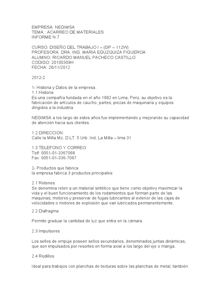 Ejemplo Informe | PDF