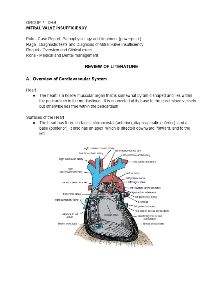 Mitral Valve Insufficiency Overview | PDF | Heart Valve | Heart