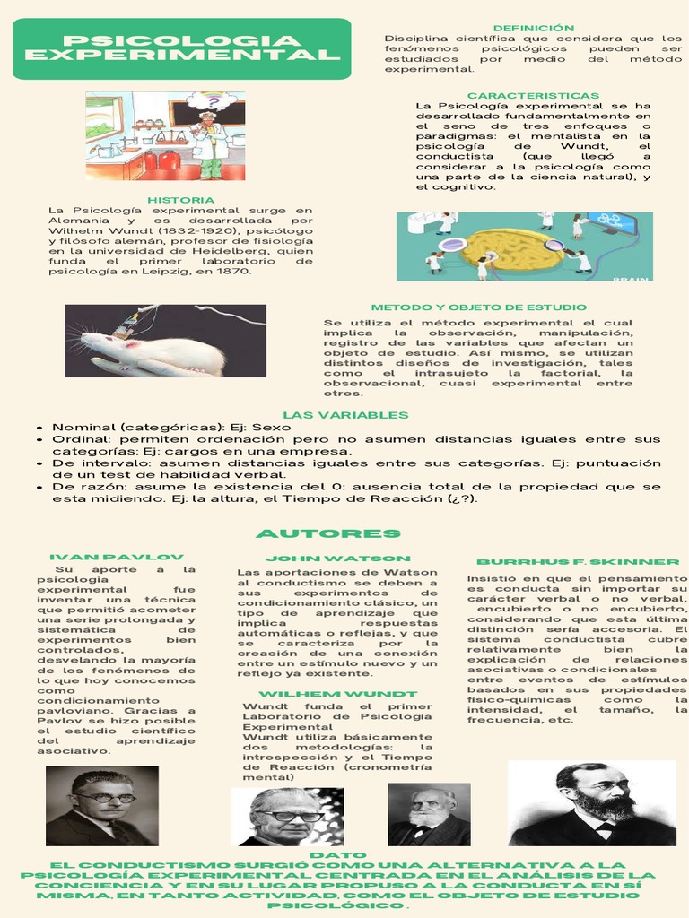 Psicologia Experimental... 11 | PDF | Sicología | Psicología experimental