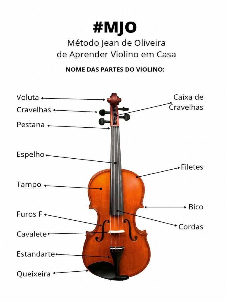Identificação das principais partes do violino | PDF