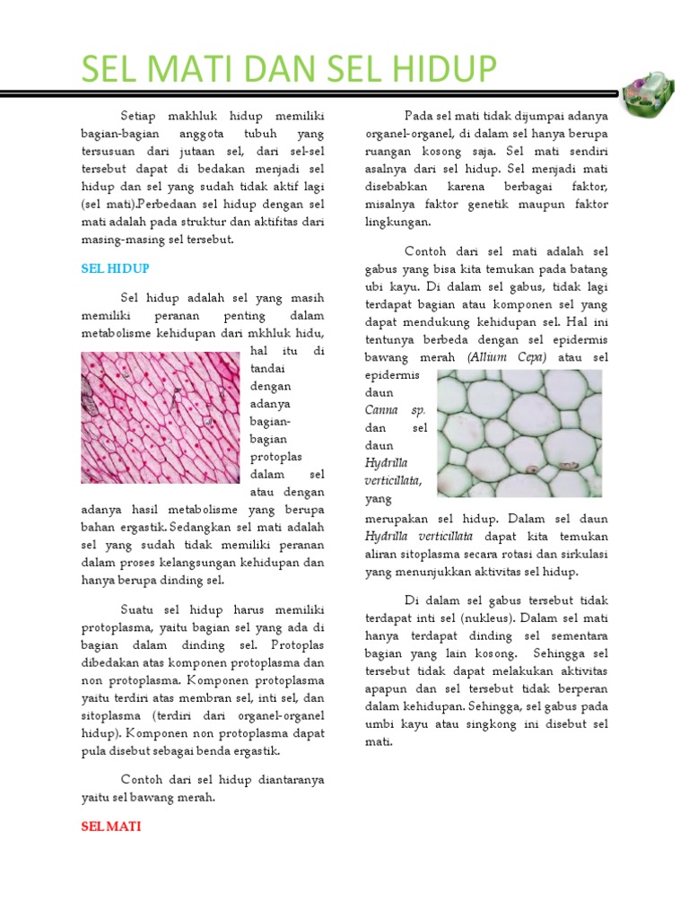 Artikel Sel Hidup Dan Sel Mati | PDF