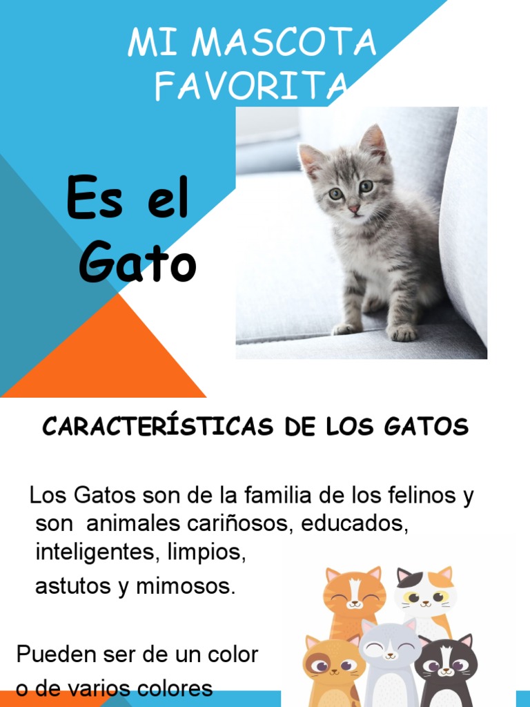 Mi Mascota Favorita | PDF