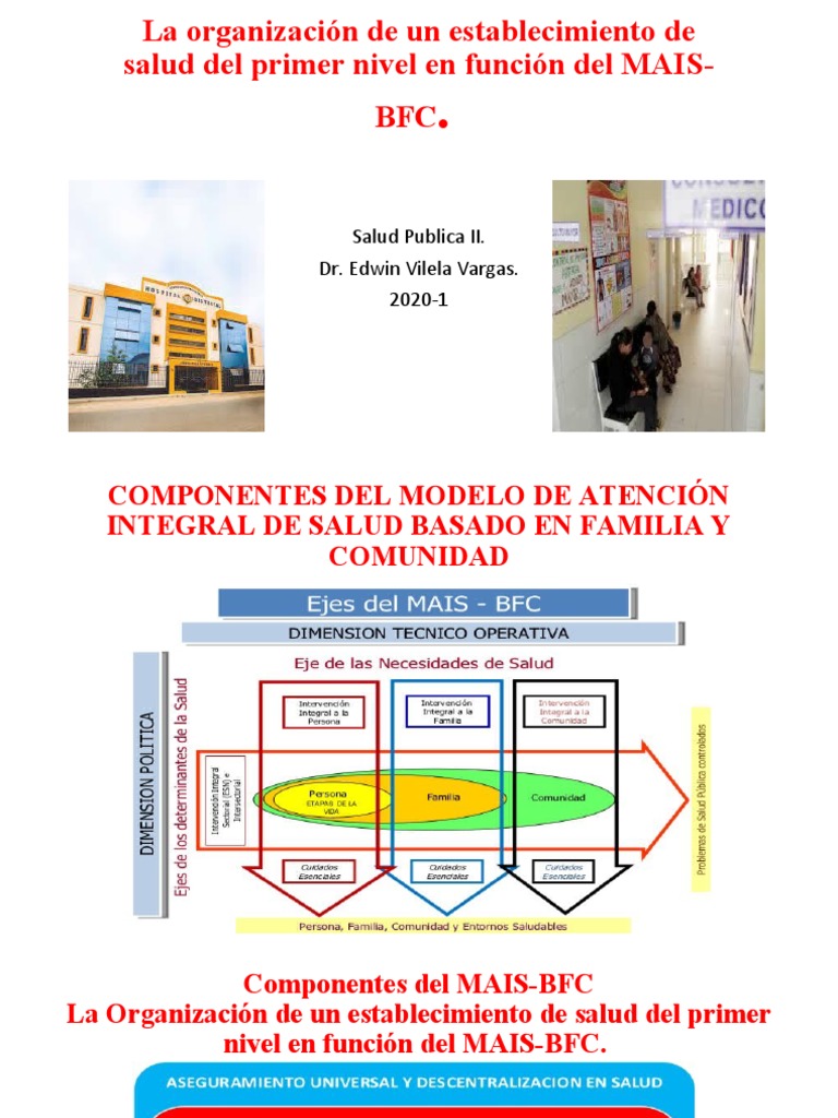 Organización de Salud MAIS-BFC | PDF | Vigilancia | Perú