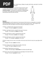 Anatomical Terminology Worksheet | PDF | Anatomical Terms Of Location ...
