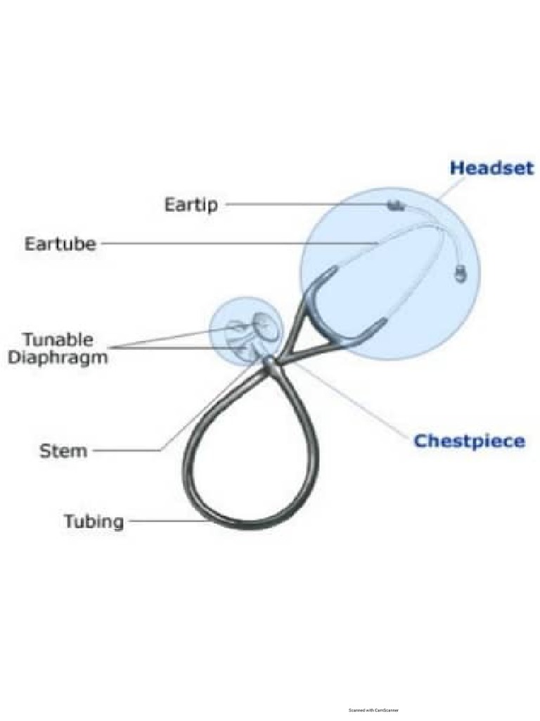 Nency Ritna Wati | PDF