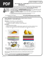 Science Process Skills Worksheet | PDF | Observation | Science