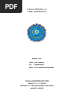 Cedera Kepala Ringan: Konsep dan Penanganan | PDF