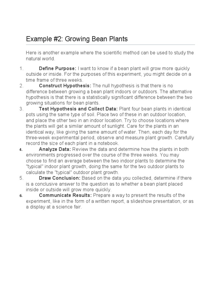 Example 2 Growing Bean | PDF