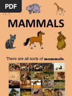 Types of Animals | PDF