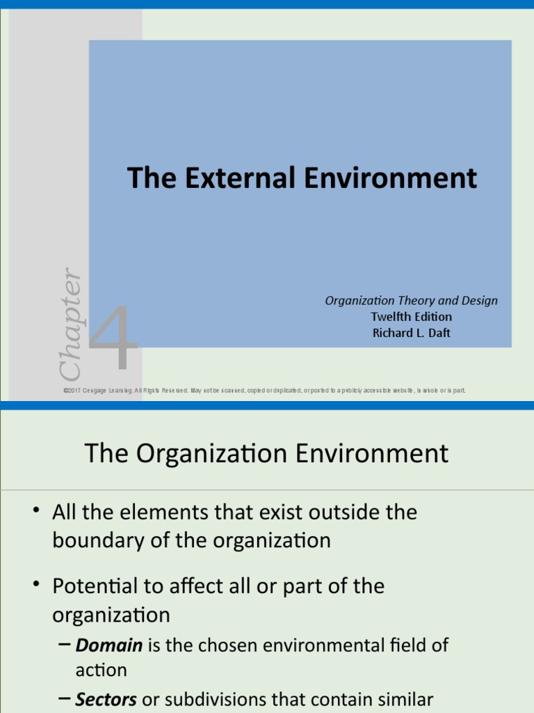 The External Environment: Organization Theory and Design | PDF ...