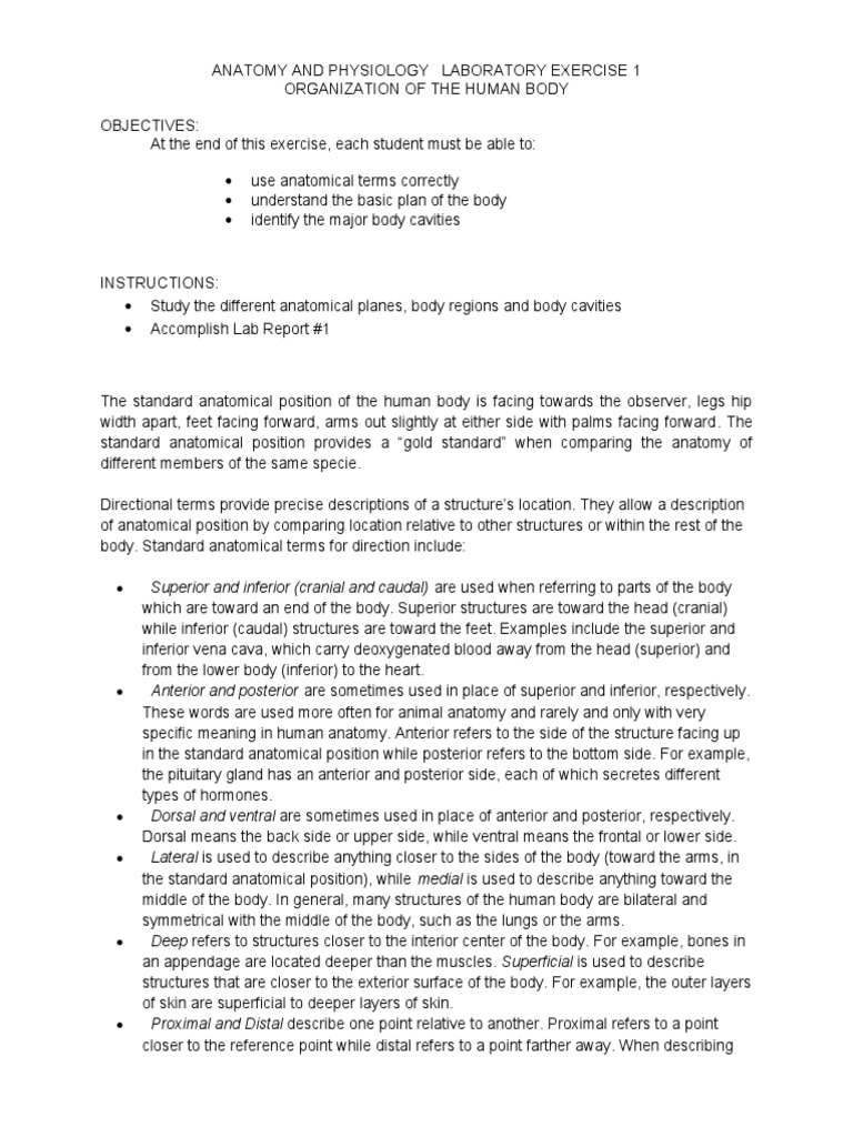 LAB EXERCISE 1 Organization of The Human Body | PDF | Anatomical Terms ...