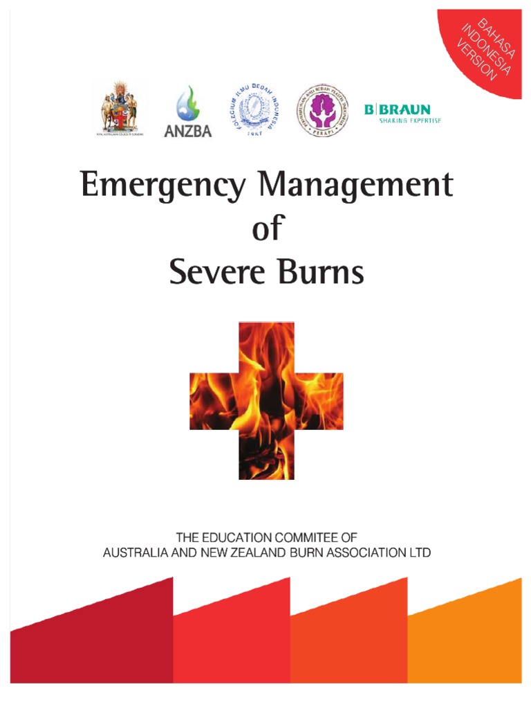 PDF Emsb Book 2016 Bahasa DL | PDF