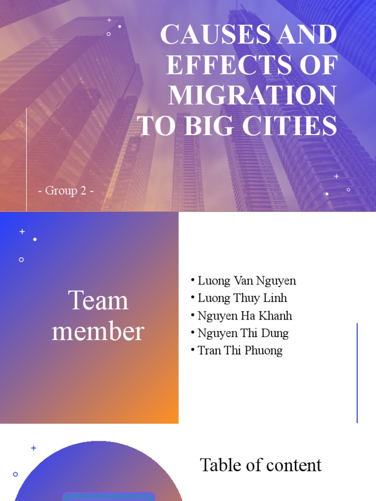 Causes and Effects of Migration To Big Cities | PDF