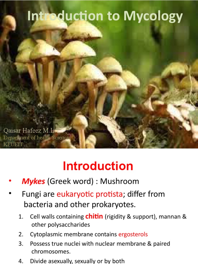 Fungal Biology for Health Students | PDF | Fungus | Mold