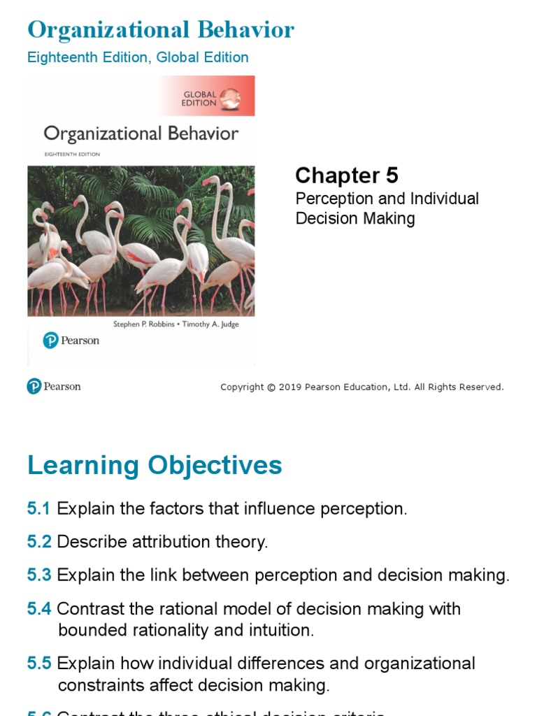 Robbinsjudge Ob18 Inppt 05 | PDF | Decision Making | Perception