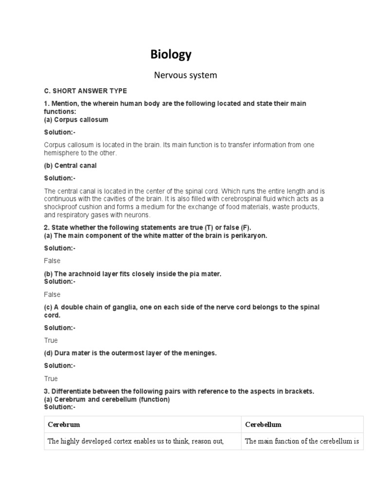 Biology: Nervous System | PDF | Ear | Pancreas