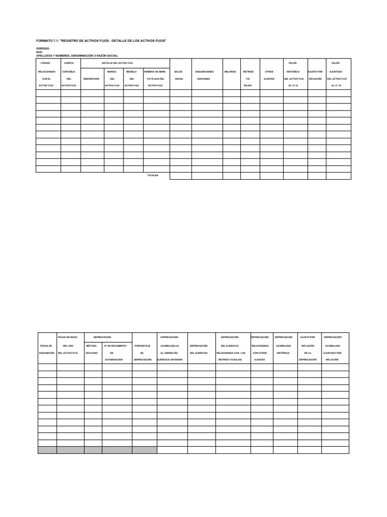 Formato Libro Activo Fijo SUNAT | PDF | Activo fijo | Depreciación