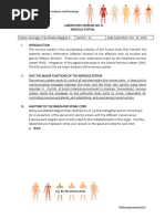 Autopsy of A Dill Pickle Person Lab | PDF | Abdomen | Anatomical Terms ...