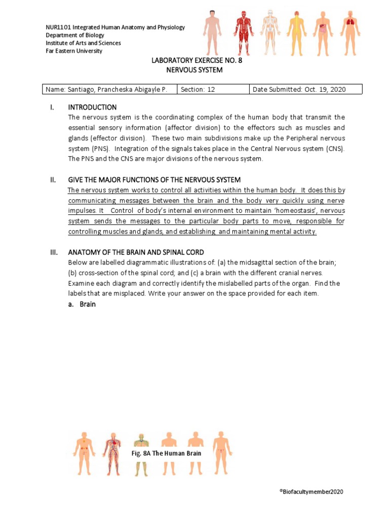 NUR11O1 Integrated Human Anatomy and Physiology Department of Biology ...