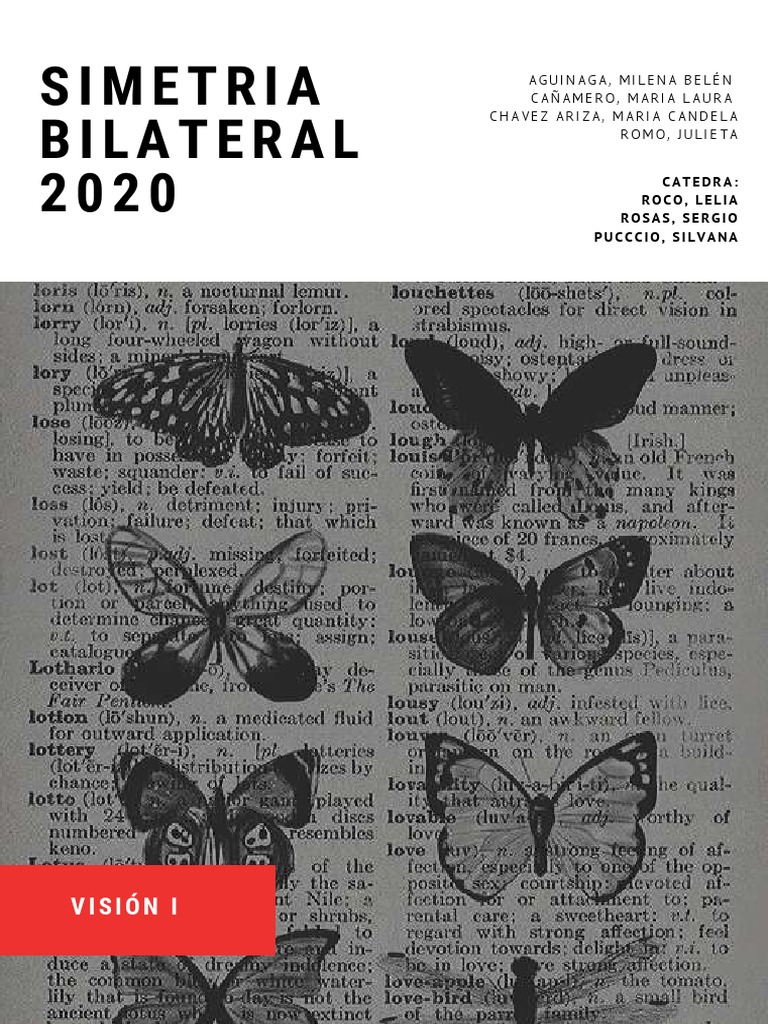 Simetría Bilateral | PDF | Simetría