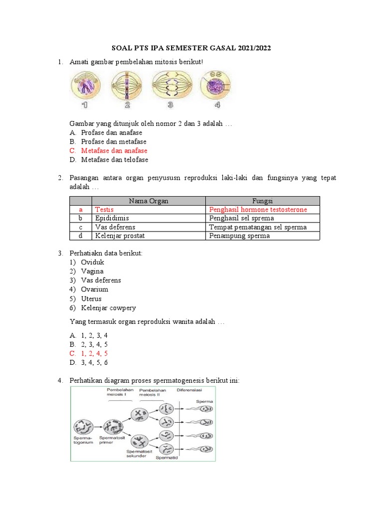 Soal PTS Ipa Semester Gasal 2021 | PDF | Griya & Taman | Sains & Matematika