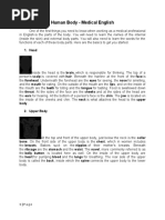 Latin Body Parts Glossary | PDF | Human Anatomy | Primate Anatomy