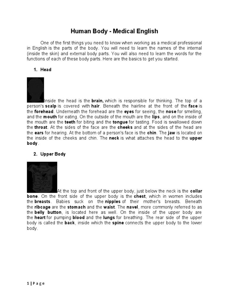 Human Body - Medical English: 1. Head | PDF | Arm | Human Leg
