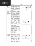 Posicion Flower Semiflower | PDF