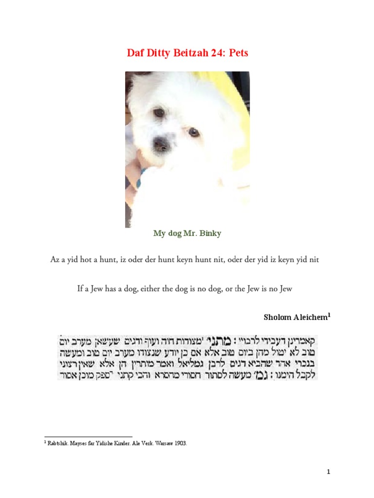 Daf Ditty Beitzah 24: Pets: My Dog Mr. Binky | PDF | Jewish Law | Jews And Judaism