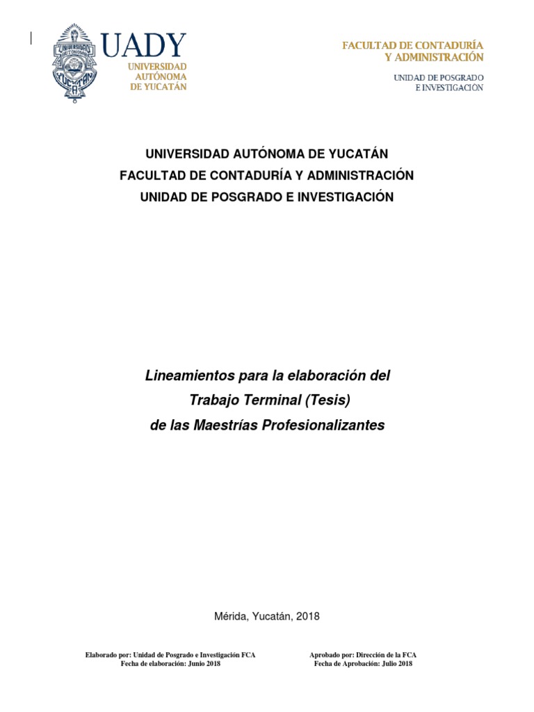 Lineamientos-Tesis UADY | PDF | Prueba (evaluación) | Licenciatura