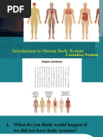 Grade 6 Human System Notes | PDF | Human Body | Human Digestive System
