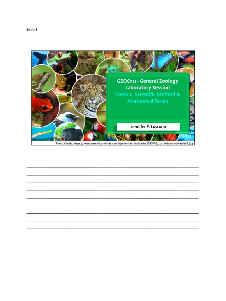 GZOO111 Zoology Lab Scientific Method & Anatomy | PDF | Anatomy | Biology