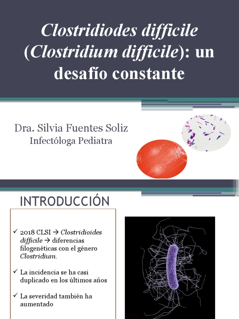Clostridium Difficile | PDF | Inmunología | Microbiología