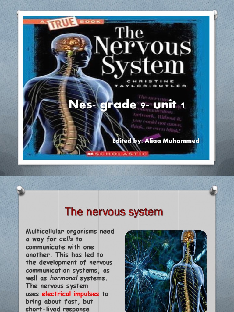 Nes-Grade 9 - Unit 1: Edited By: Aliaa Muhammed | PDF | Neuron ...