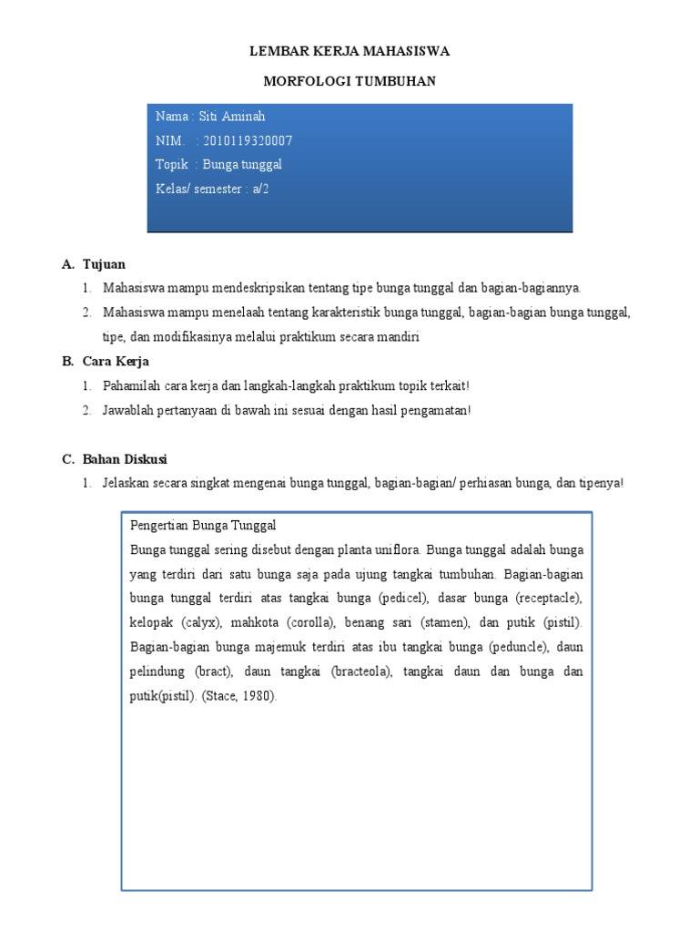 LKM 7 Bunga Tunggal | PDF