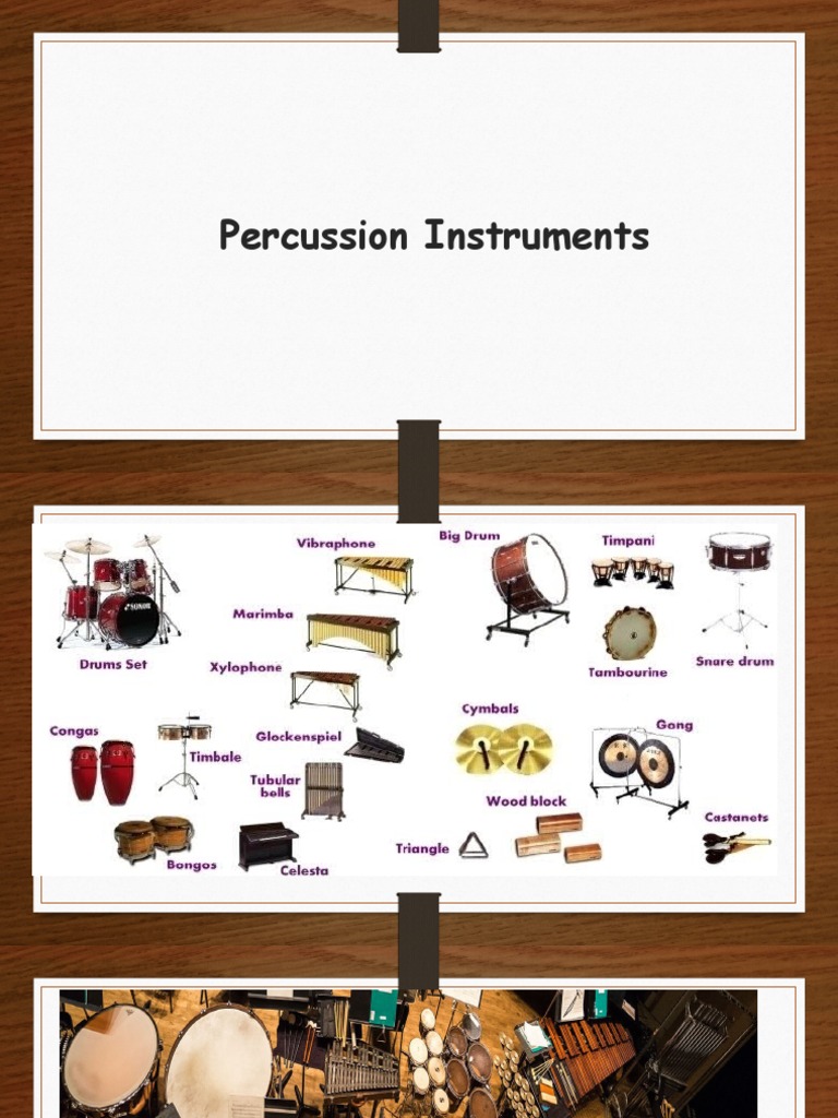 Percussion Instruments | PDF | Percussion Instruments | Musical Instruments