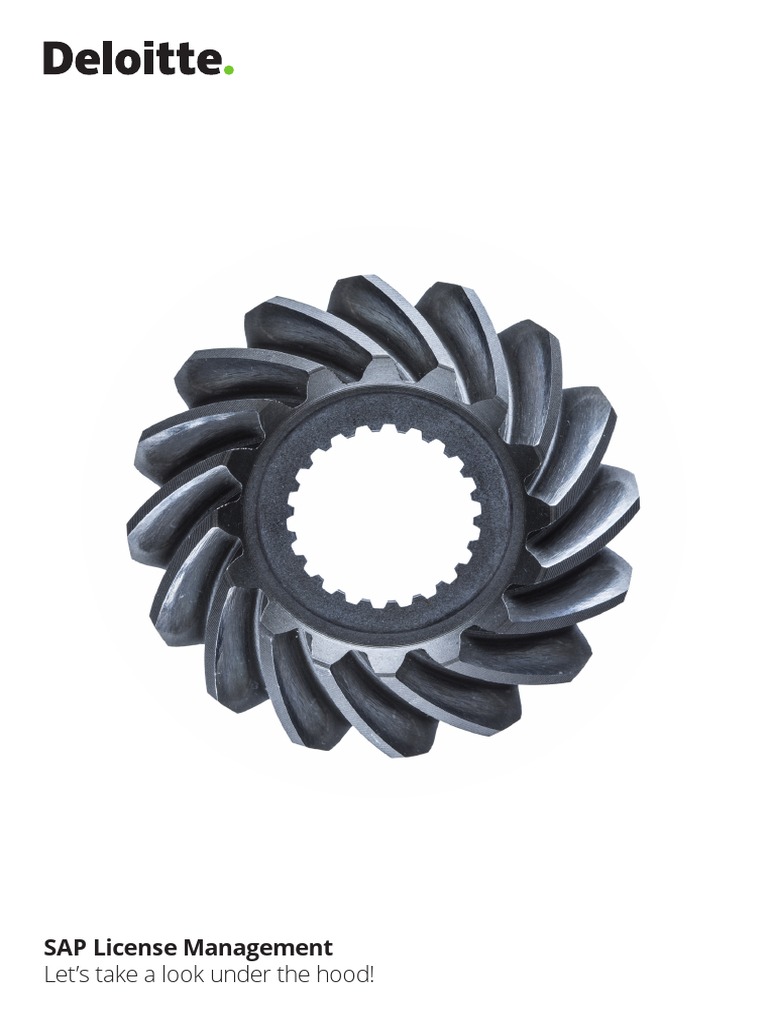 SAP License Management: Let's Take A Look Under The Hood! | PDF ...