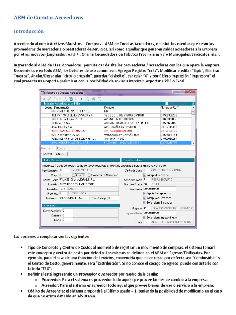 ABM de Cuentas Acreedoras | PDF | Informática