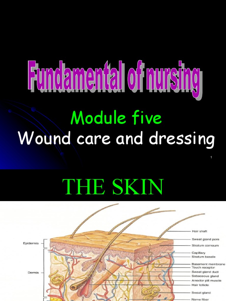 Wound Care and Dressing. 3 | PDF | Wound Healing | Wound
