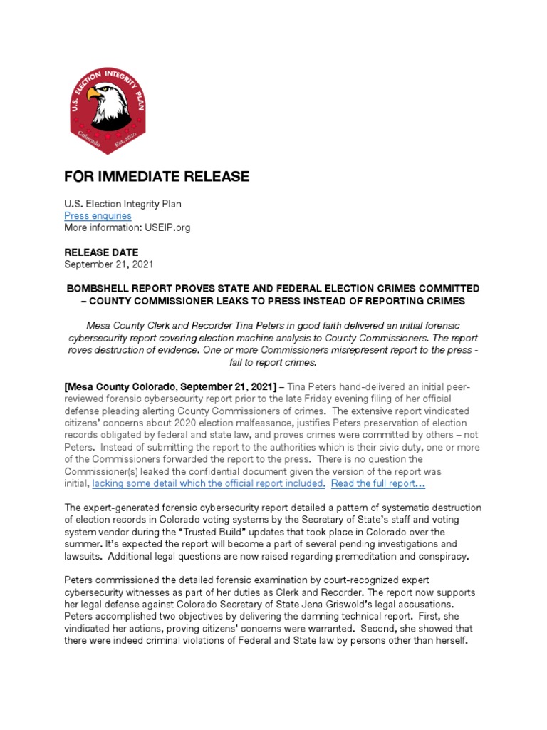 Election Integrity Report Reveals Crimes | PDF | Security | Computer ...