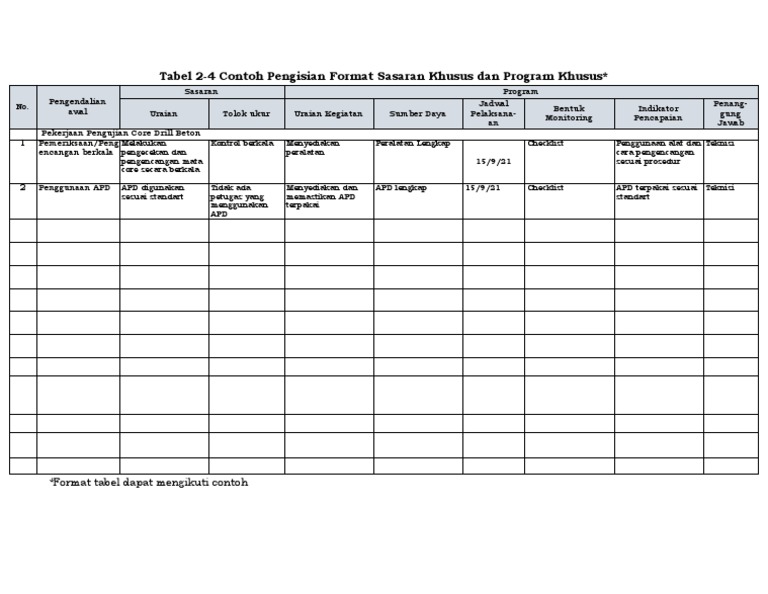 FORMAT Pengisian Format Sasaran Khusus Dan Program Khusus (Tugas) | PDF